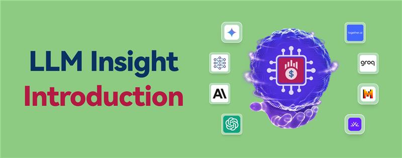 LLM Insight
